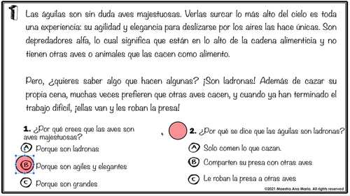 Reading Comprehension in Spanish - Comprensión de lectura información ...