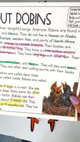 Robin Nonfiction Reading Informative Writing All About Robins | TPT