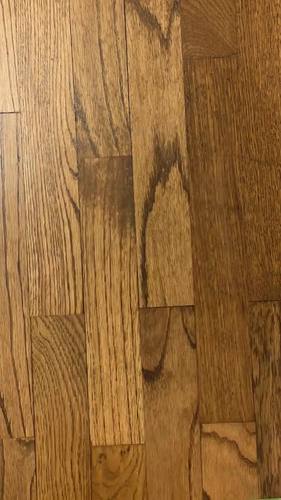 EDITABLE Seasonal Sight Word Games GROWING BUNDLE | TpT