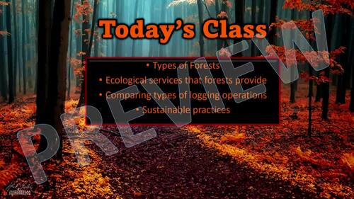AP Environmental Science Forestry and Sustainable Forestry Lesson BUNDLE!