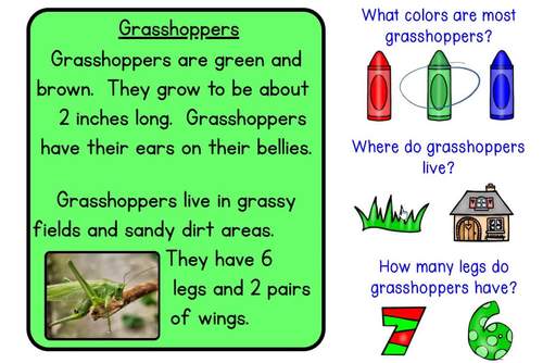 Reading Comprehension K-2 (Pack 1) Boom Cards | TPT