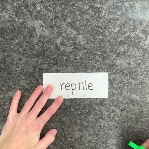 Phonics Syllable Division VCV VCCV VCCCV Rules Printable Activity ...