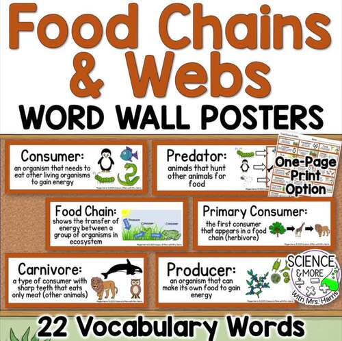 Interdependence (Food Chains, Food Webs) Science Vocabulary Word Wall ...