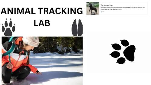 Weather Animal Tracks in the Snow Middle and High School Science Nature