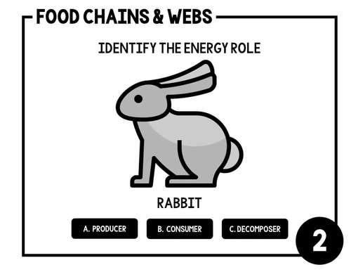 Food Chains and Food Webs Ecosystems Digital Task Cards | Science Boom ...