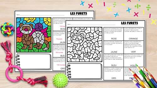 Color by Code: PETS | Colorie par PROBLÈME MATHEMATIQUE: Animaux de ...