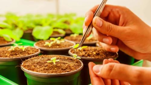 Spring Escape Room - Season 2 - Middle School Science - Print or Digital