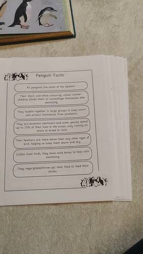 Penguin Unit Study | Penguin Science Worksheets, Life Cycle, Anatomy ...