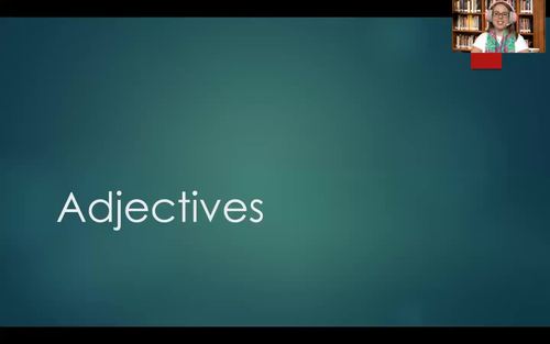 Distance Learning Adjectives Video by Little Reading Coach | TpT
