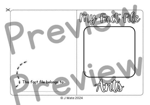 Animal Research Project | Insects Habitats | Ants Worksheets & Fact Files