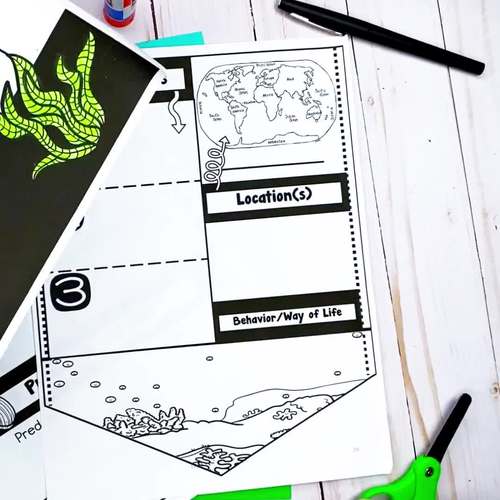 Ocean Animal Research Report Posters: Sea Animals Bulletin Board ...