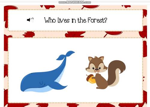 Categories: Who lives in the forest? (DIGITAL NO PREP) | TPT