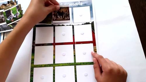 Farm Zoo Ocean Animals Sorting Activity Special Education Kindergarten