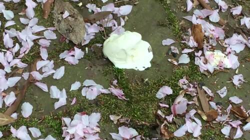 Lesson 1: Feelings Video 2 Sad by Kidlish | TPT