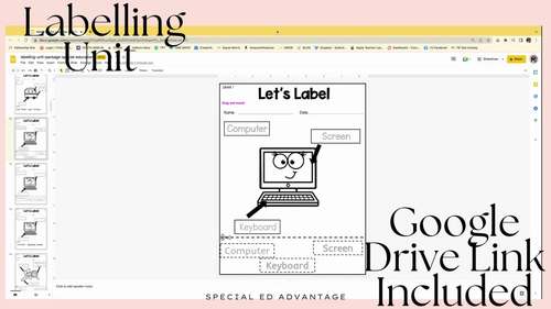 Digital + Print Labeling Unit Package for Special Education and ESL ...