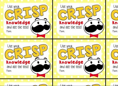 Pringles Testing Motivation Tag- Use your CRISP knowledge and ace the test!
