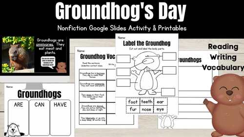 Nonfiction Groundhog Google Slides Reading/Writing Activities | TPT