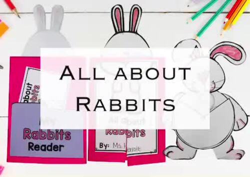 Rabbits Life Cycle Craft | Easter Activities by Ms Herraiz | TPT