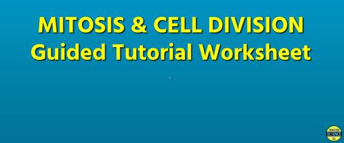Mitosis Guided Tutorial Worksheet | Printable & Distance Learning Options
