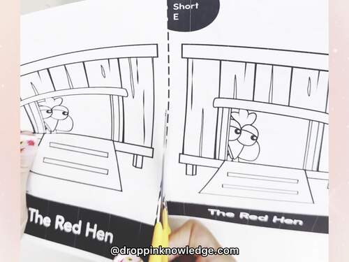 Decodable Readers Books CVC Words - Science of Reading Phonics | TPT