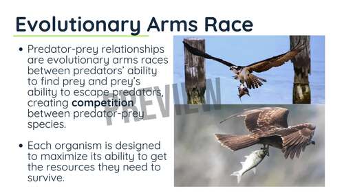 AP Environmental Science Unit 1: The Living World – Ecosystems Presentation