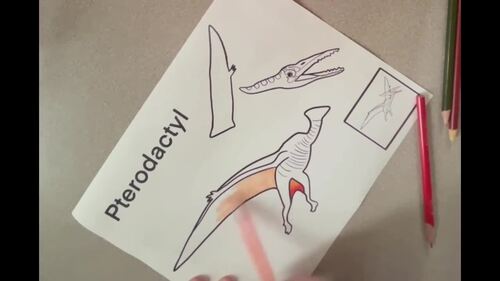 Cut and Paste Pterodactyl Dinosaur Coloring Art Craft Fine Motor Activity