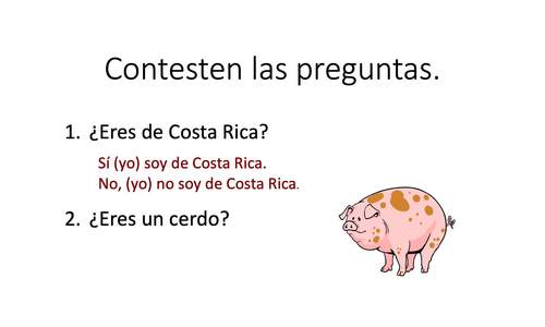 Spanish One Bell Ringers Warm Ups for a Year Para empezar Bell Work