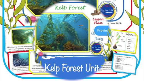 Kelp Forest NGSS Lesson by Mrs Lena | Teachers Pay Teachers