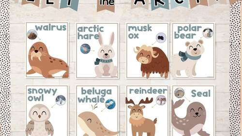 Arctic Animals Bulletin Board | Winter Classroom Decor, Posters ...