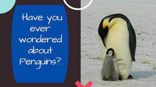 PENGUINS Non-fiction Book with Math & Language Arts Activities