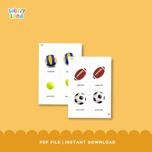 Sport Ball Montessori 3 Part Cards with Real Image by Wuffyland | TPT