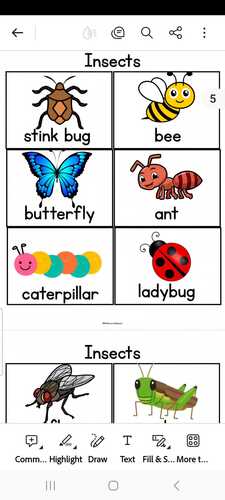 All about insects unit for preschool, pre-k & kindergarten | TPT