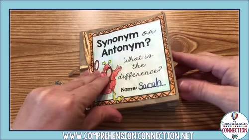 Synonym and Antonym Paper Bag Book, Synonym and Antonyms Activities