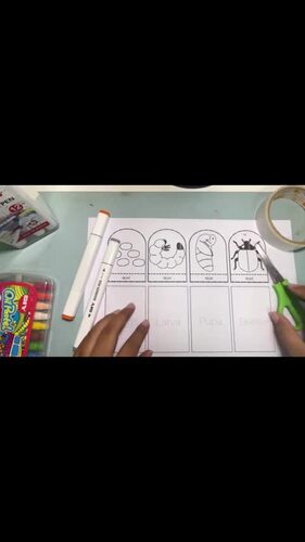 Animal Life Cycles | Science Activities | Pack - PreK 1 | TPT