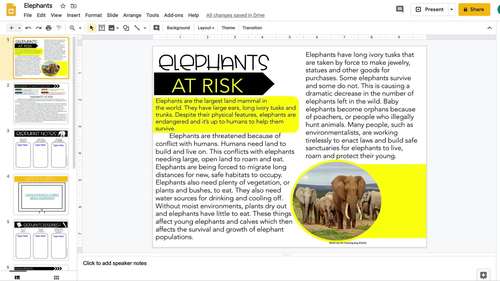 Endangered Animals: Research and Informational Text | TPT