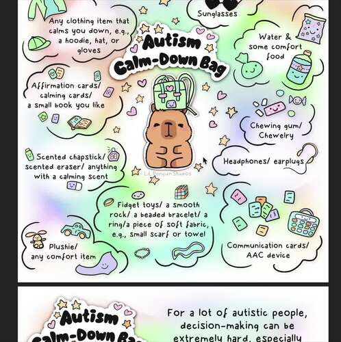 Capybara Autism Calm-Down Bag Poster & Worksheet | Sensory Break ...