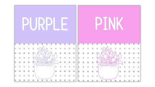 Plant Life Color Posters | Plant Classroom | Botanical Classroom Decor