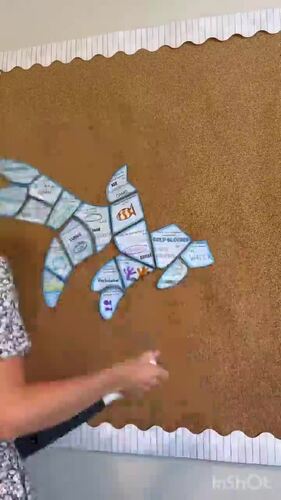 Animal Classification Review Activities Science Collaborative Poster ...