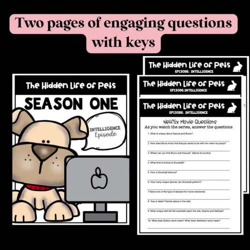 The Hidden Life Of Pets-Intelligence Episode | TPT