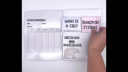 5th Grade Science Interactive Notebooks NC Essential Science Standards