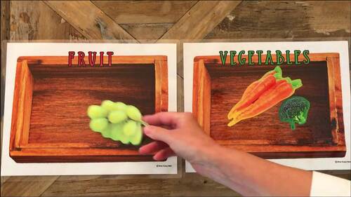 Fruit and Vegetable Sorting Mats by Miss Fuzzy Bee | TPT