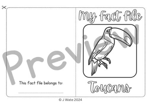 Bird Research Project Toucans Report Writing Templates | Fact File ...