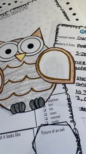 All About Owls Non Fiction Animal Report by The Teaching Diva Corner