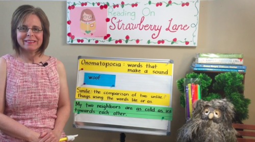 VIDEO: Reading: Set 1. Lesson 38. Word Family Pattern -imp | TPT