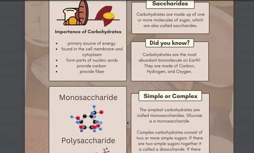 Carbohydrates Mini Lesson/Review by ScienceFluent | TPT