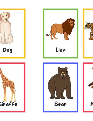 32 Animals Flashcards , Posters and Charts by Mary Momerwids | TPT