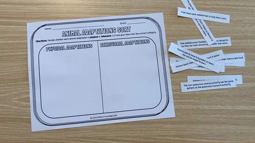 Animal Adaptations Physical and Behavioral Sort Activity PRINT and DIGITAL