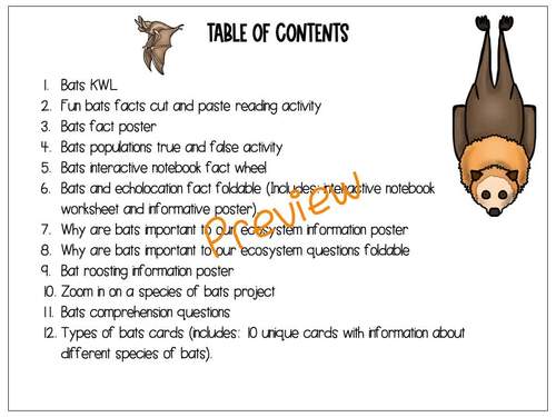 Halloween Science: Bats by Honey Bee Community Resources | TPT