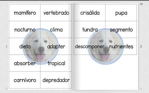 SPANISH Reading Comprehension Los animales comprensión de lectura Print ...