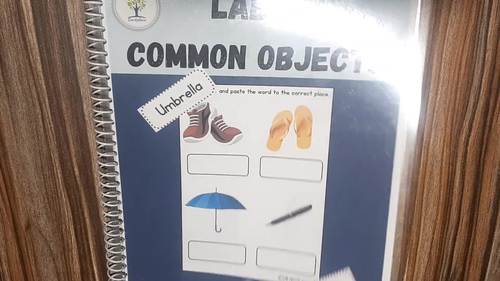 Labeling 108 Common Objects Cut and Paste Activity by Disha Digital School